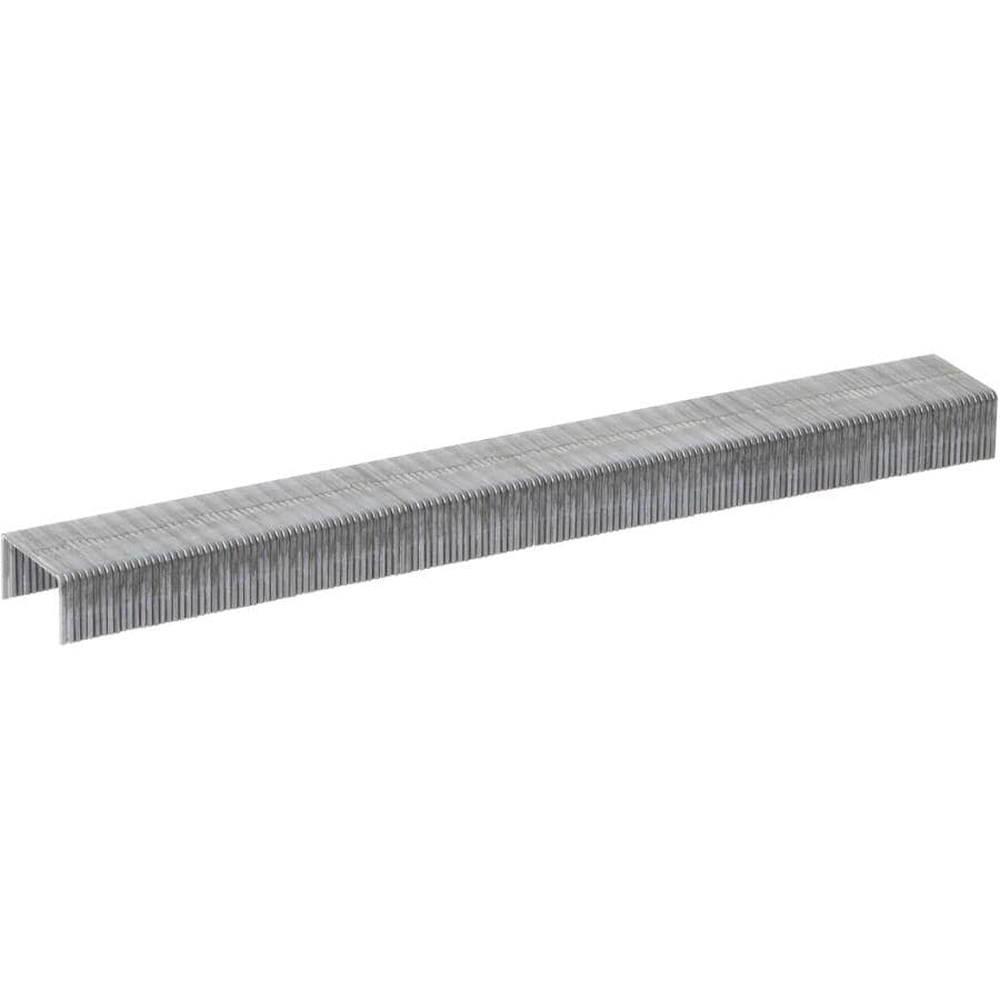 BENCHMARK 1/4" Staples | Home Hardware