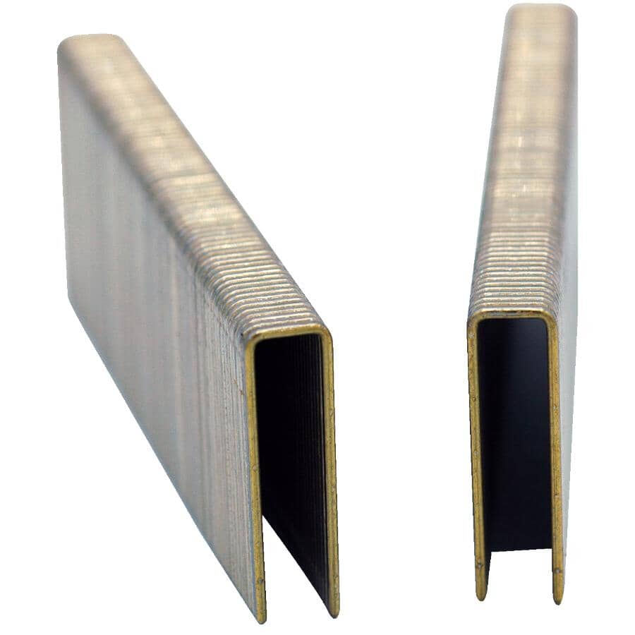 BENCHMARK 1-1/2" 16 Gauge Medium Crown Galvanized Staples | Home Hardware