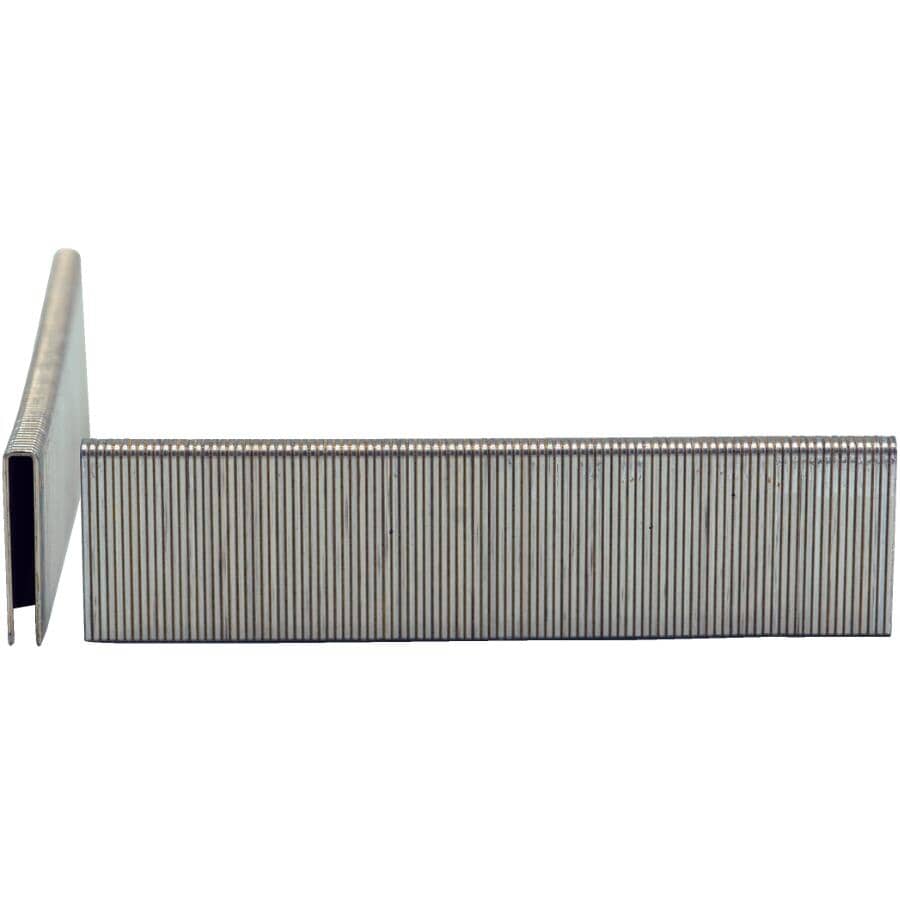 BENCHMARK 1" 18 Gauge Galvanized Narrow Crown Staples | Home Hardware