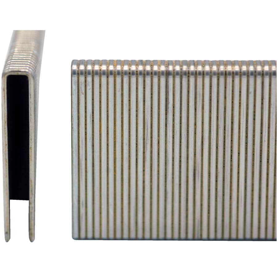 BENCHMARK 1-1/2" 18 Gauge Galvanized Narrow Crown Staples | Home Hardware