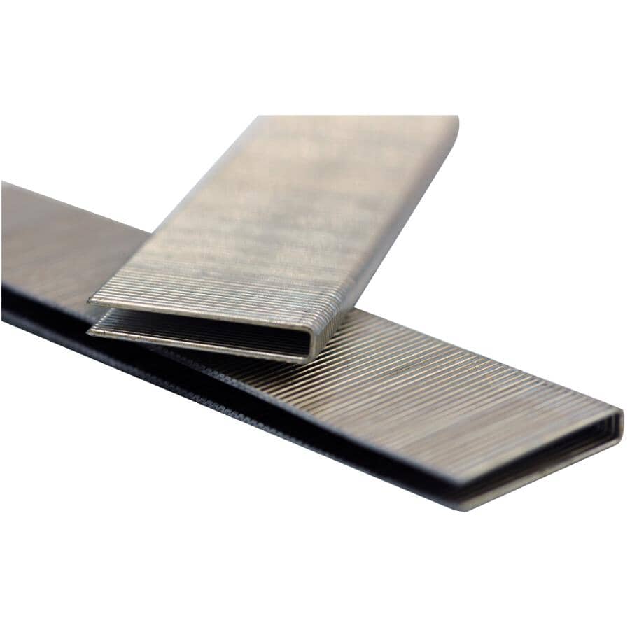 BENCHMARK 1-1/2" 18 Gauge Galvanized Narrow Crown Staples | Home Hardware