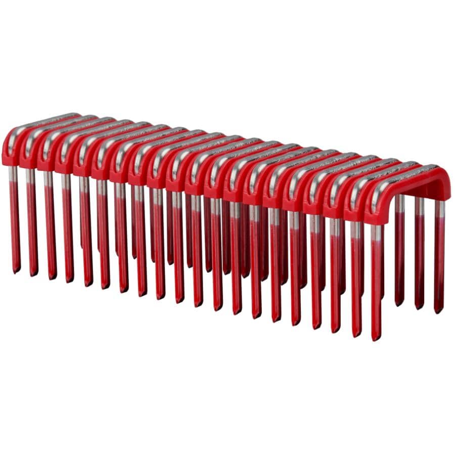MILWAUKEE 1" Insulated Cable Staples | Home Hardware