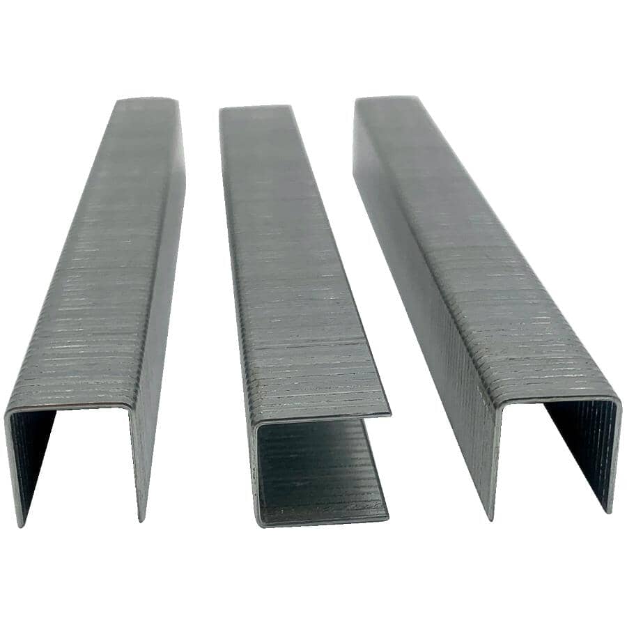 BENCHMARK 1/2" A11 Staples | Home Hardware