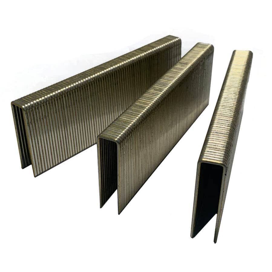 BENCHMARK 1-1/2" 16 Gauge Medium Crown Galvanized Staples | Home Hardware