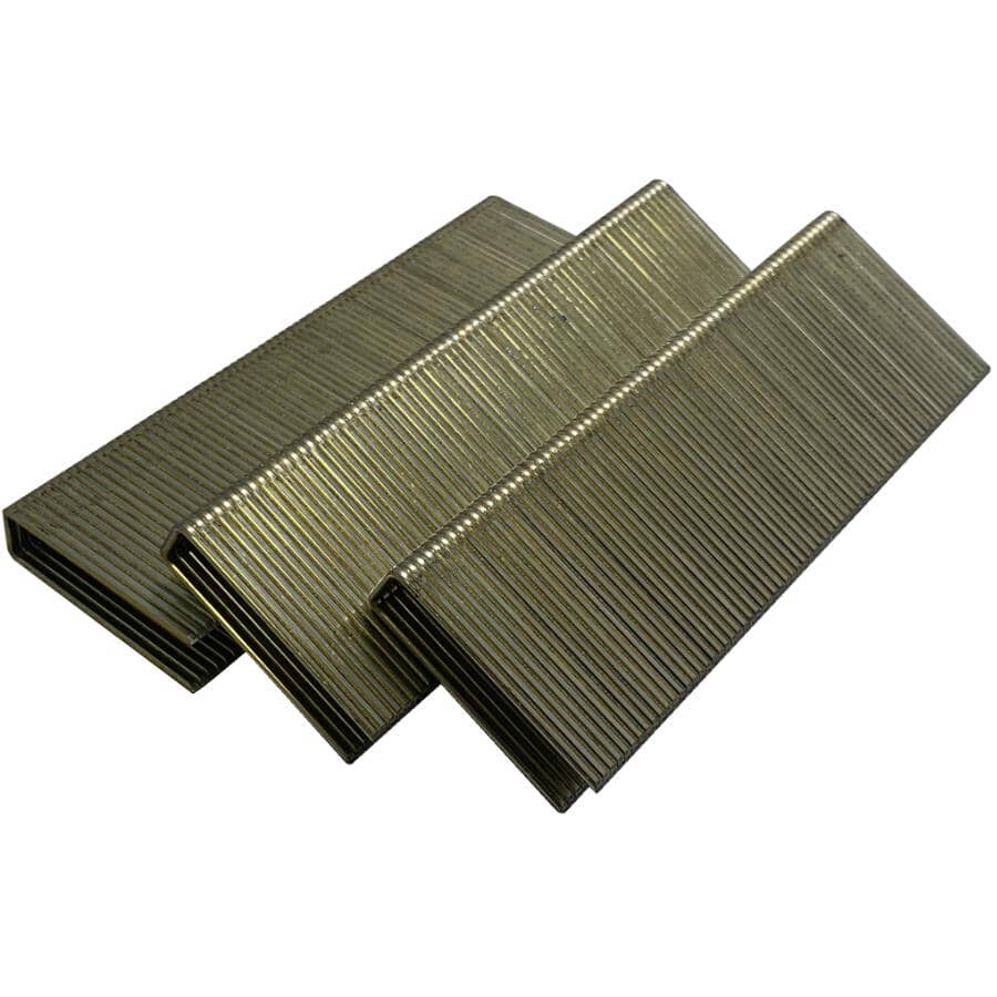 BENCHMARK 1-1/2" 16 Gauge Medium Crown Galvanized Staples | Home Hardware