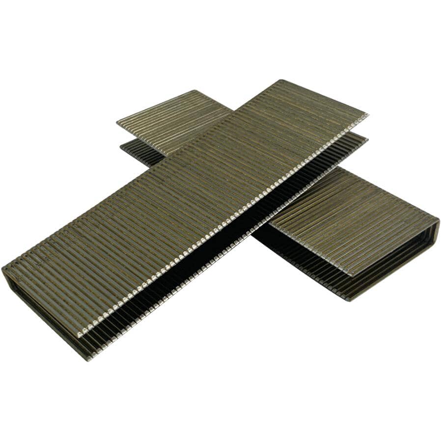 BENCHMARK 1-1/2" 16 Gauge Medium Crown Galvanized Staples | Home Hardware