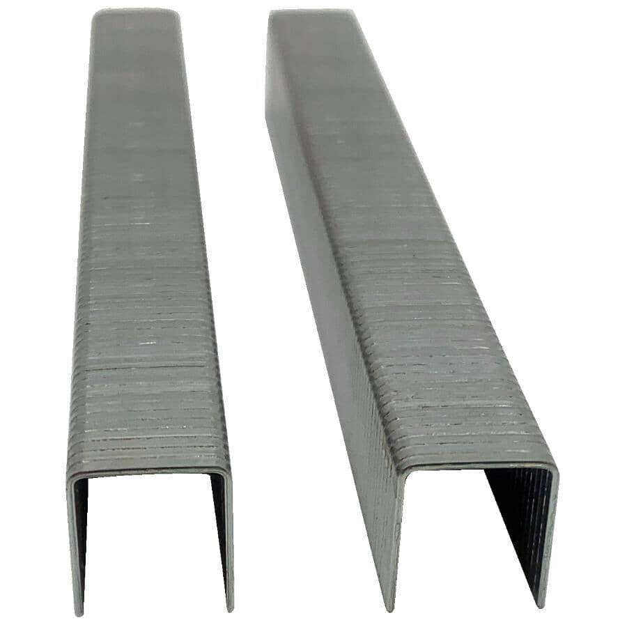 BENCHMARK 1/2" 20 Gauge STCR Staples | Home Hardware