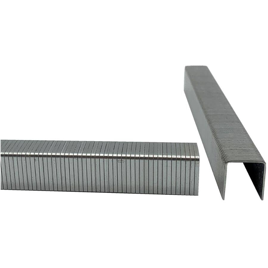 BENCHMARK 1/4" 20 Gauge STCR Staples | Home Hardware