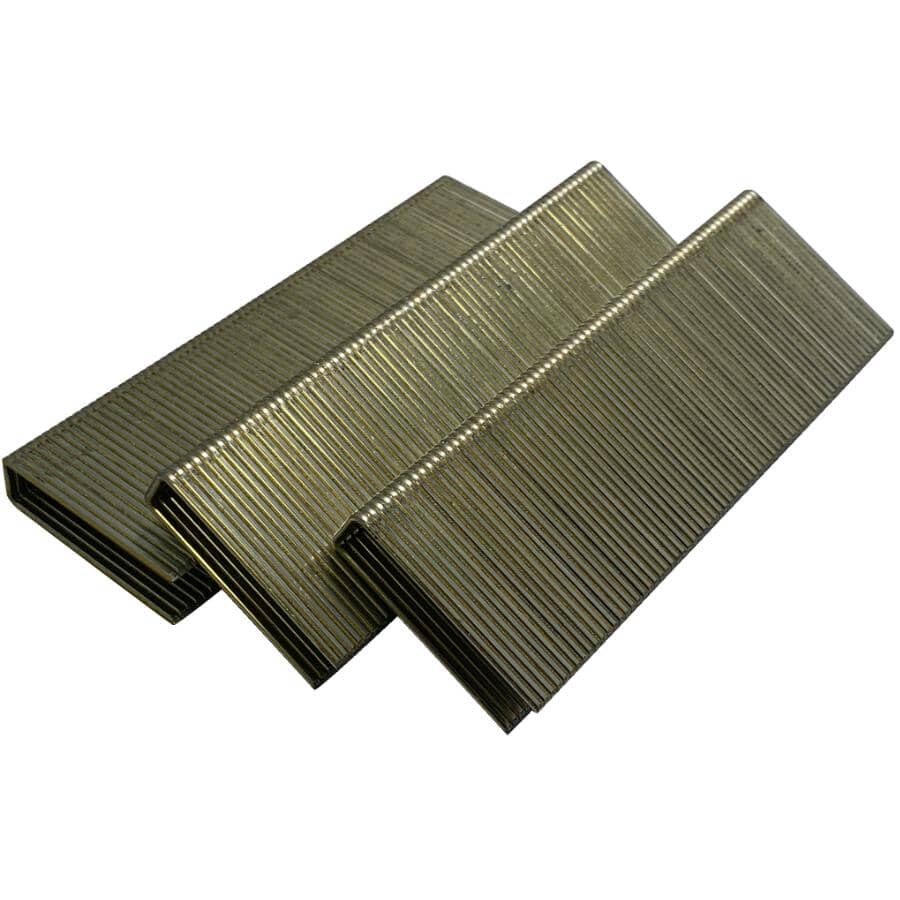 BENCHMARK 1-1/2" 16 Gauge Medium Crown Staples | Home Hardware