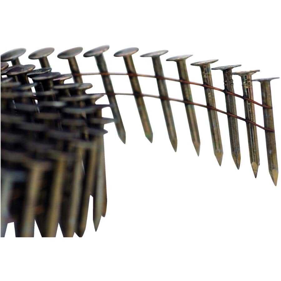BENCHMARK 1-1/4" 0.120 Gauge EG Coil Roofing Nails | Home Hardware