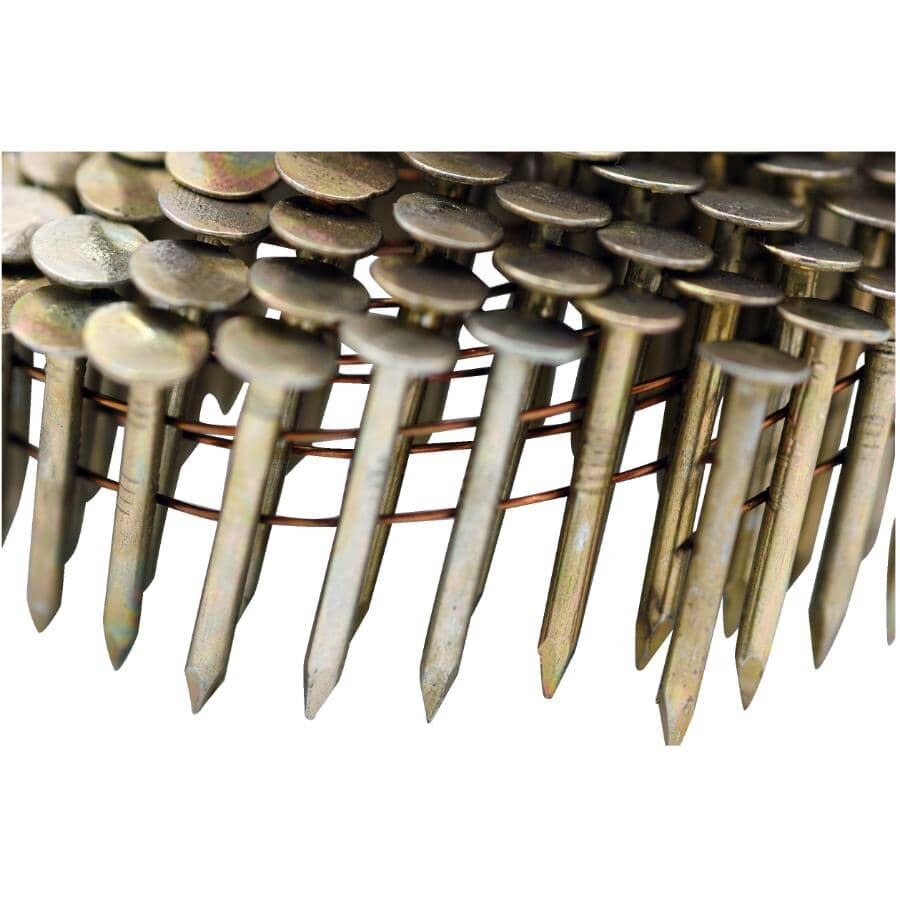 BENCHMARK 1-1/4" 0.120 Gauge EG Coil Roofing Nails | Home Hardware