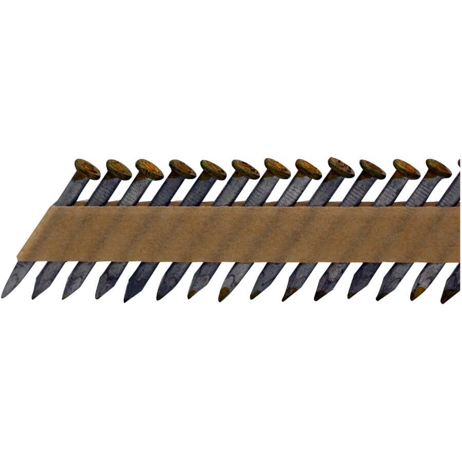 BENCHMARK 1-1/2" Brite Joist Hanger Nails | Home Hardware