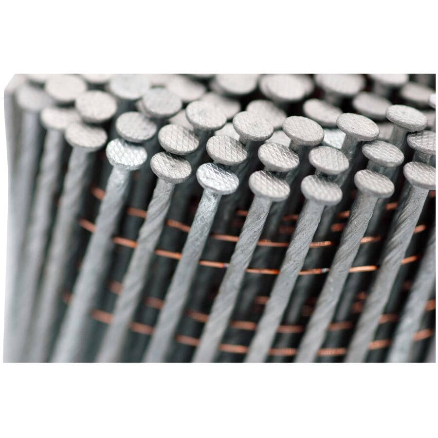 BENCHMARK 2-1/4" 0.099 Gauge HDG Spiral Coil Framing Nails | Home Hardware