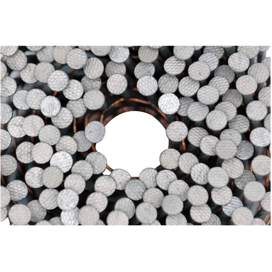 BENCHMARK 3-1/4" 0.120 Gauge HDG Spiral Coil Framing Nails | Home Hardware