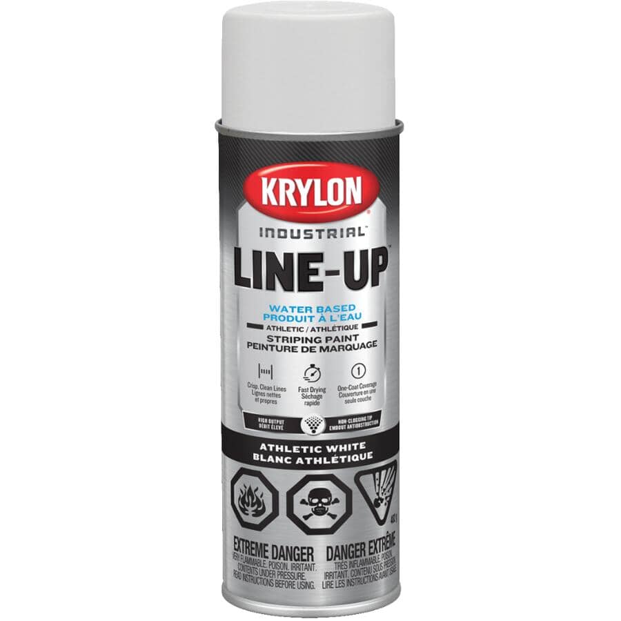 KRYLON Professional Solvent | Home Hardware