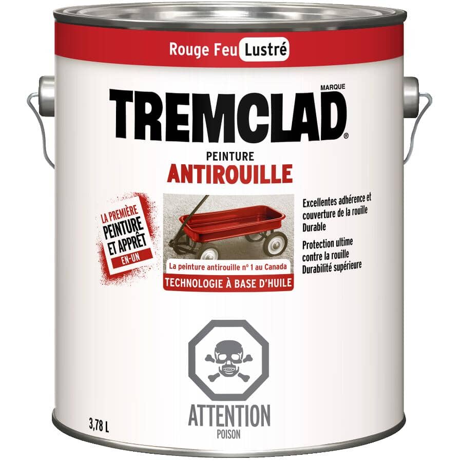 TREMCLAD Rust Paint | Home Hardware