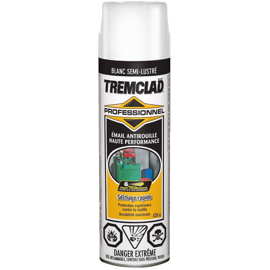 TREMCLAD Professional High Performance Rust Enamel Spray Paint | Home ...