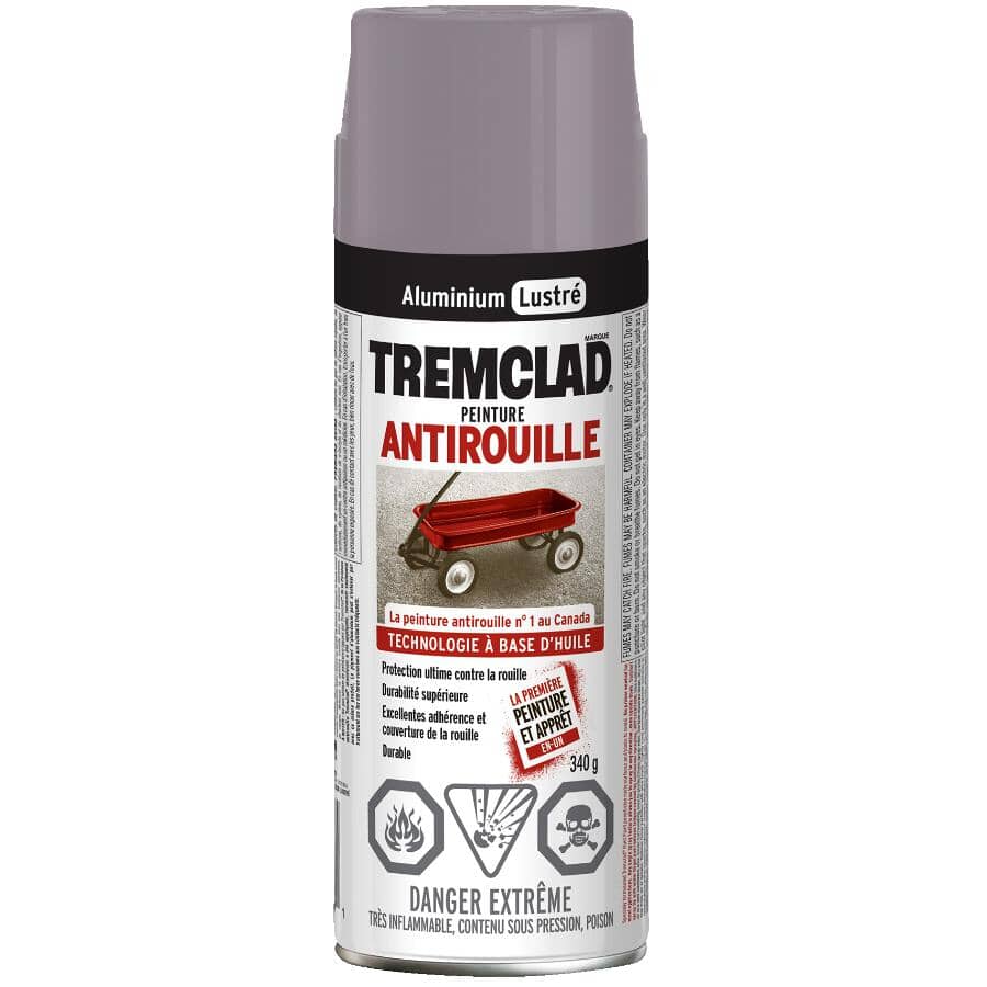 TREMCLAD Rust Spray Paint | Home Hardware