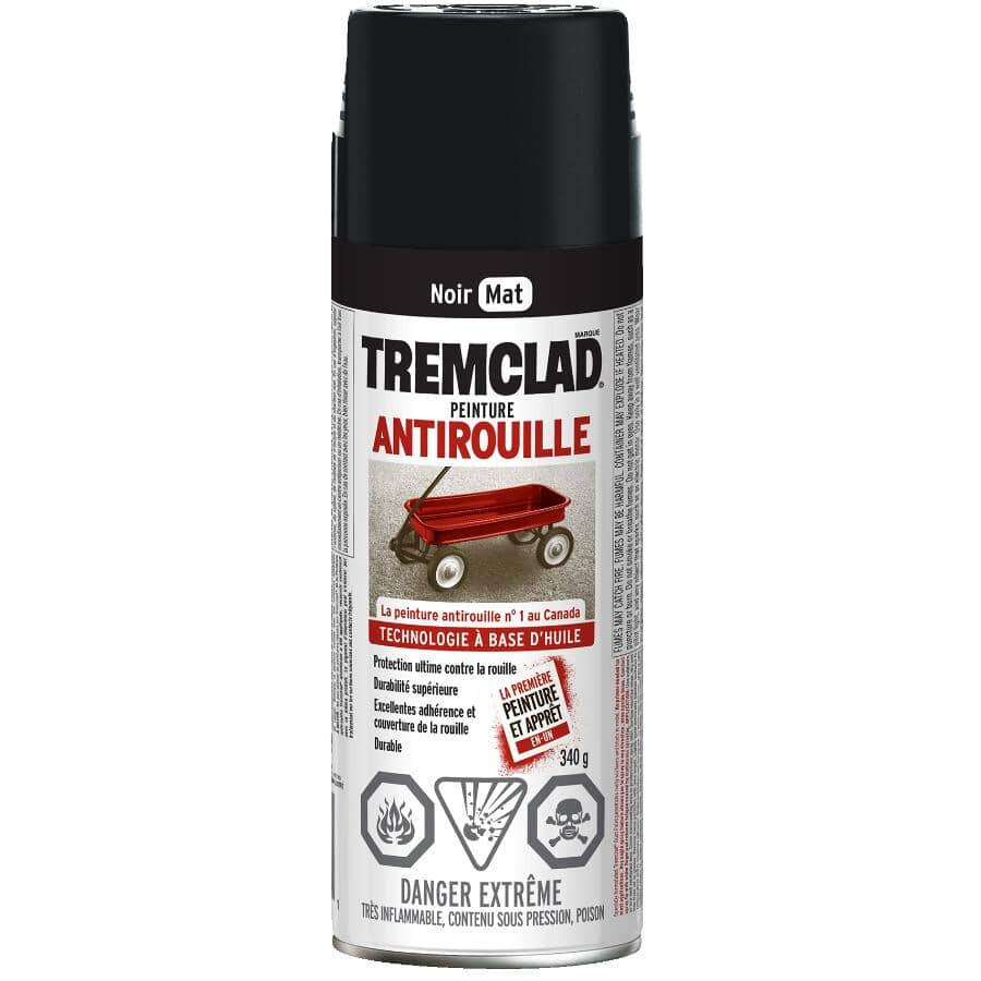TREMCLAD Rust Spray Paint | Home Hardware