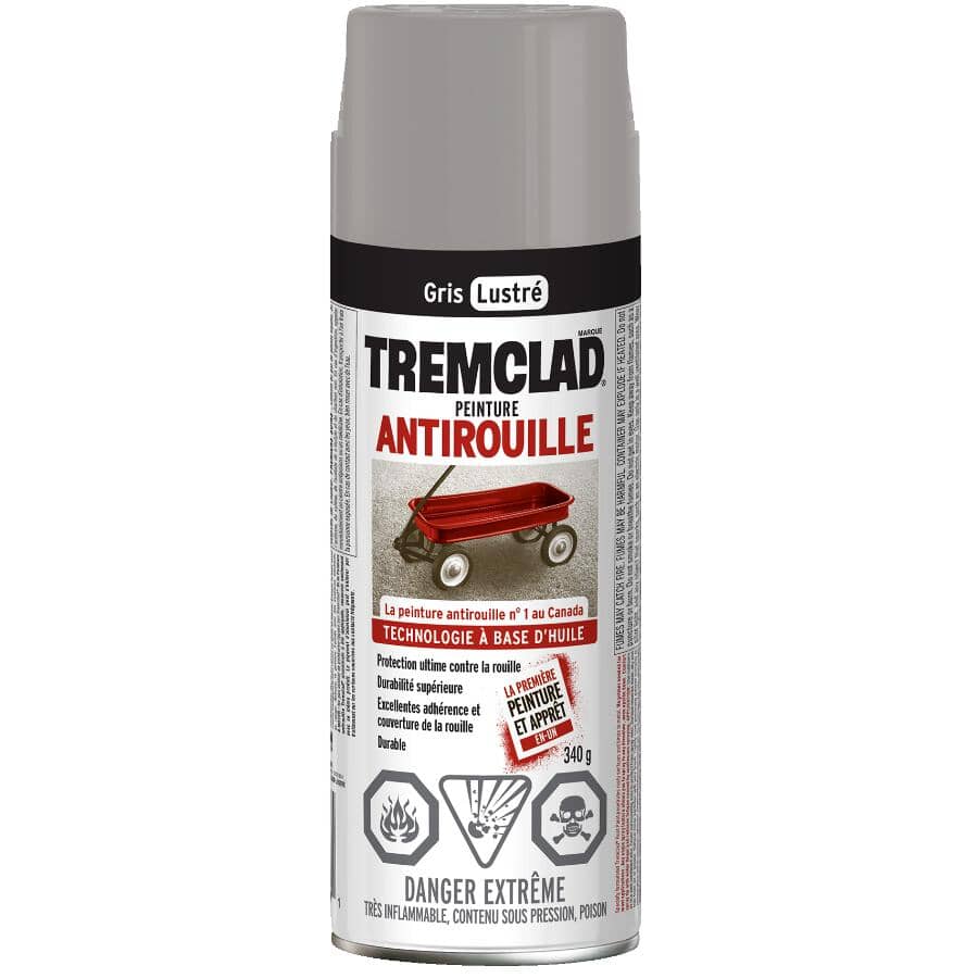TREMCLAD Rust Spray Paint | Home Hardware