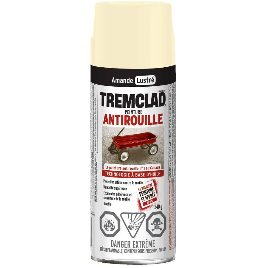 TREMCLAD Rust Spray Paint | Home Hardware