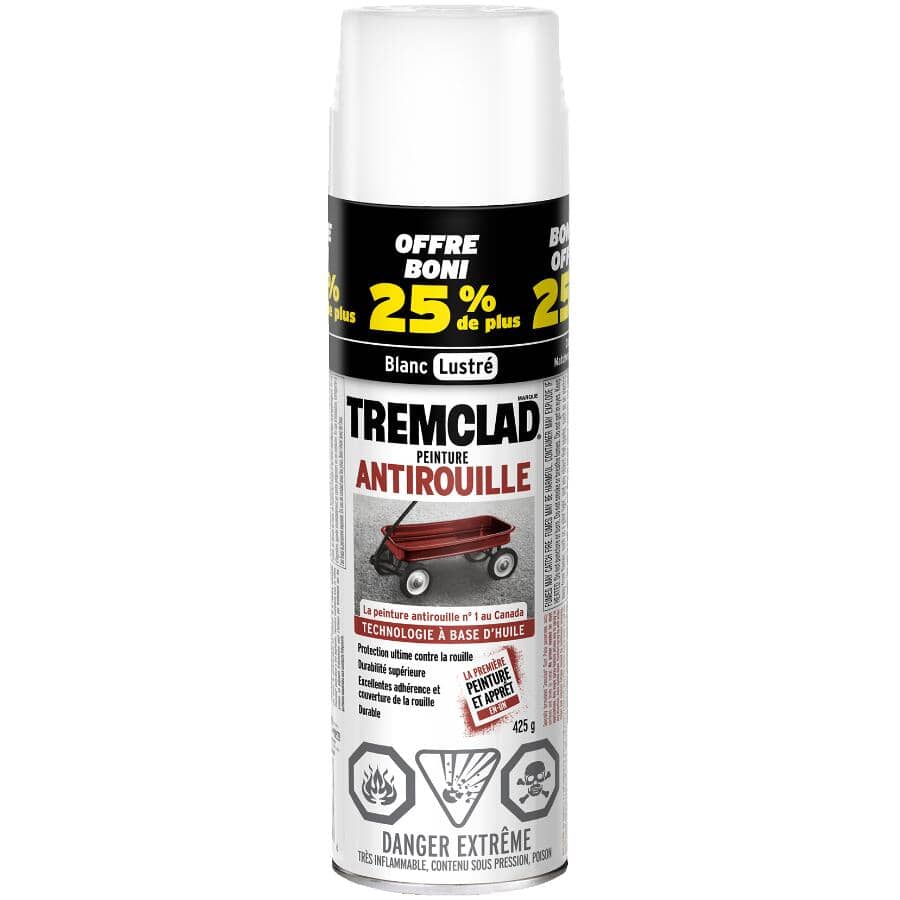 TREMCLAD Oil Based Rust Spray Paint | Home Hardware