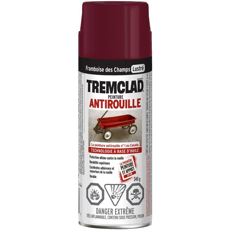 TREMCLAD Rust Spray Paint | Home Hardware