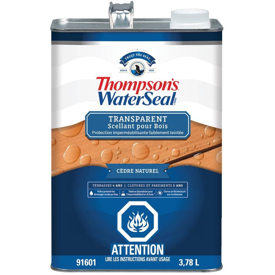 THOMPSON'S WATERSEAL Waterproofer Plus Tinted Wood Protector | Home ...