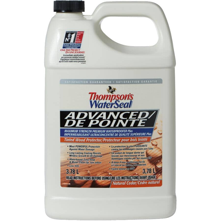 THOMPSON'S WATERSEAL Waterproofer Tinted Low VOC Wood Protector | Home ...