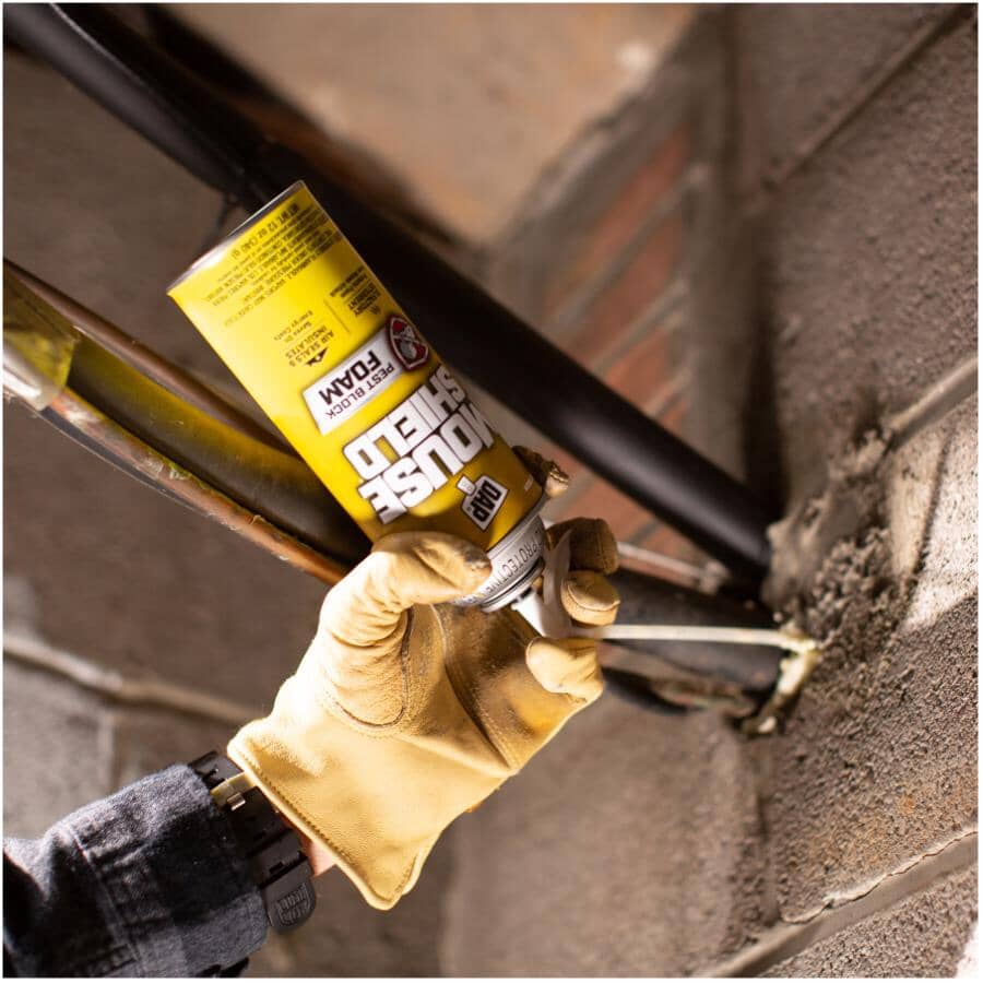DAP Mouse Shield Foam Sealant - 340 g | Home Hardware