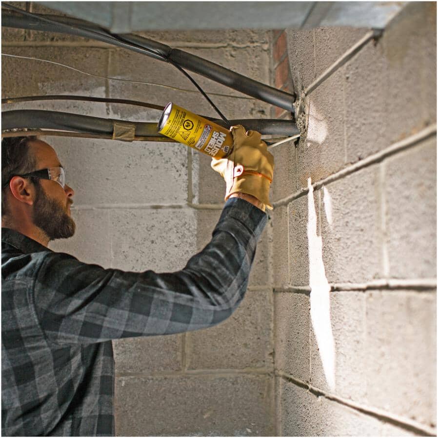 DAP Mouse Shield Foam Sealant - 340 g | Home Hardware