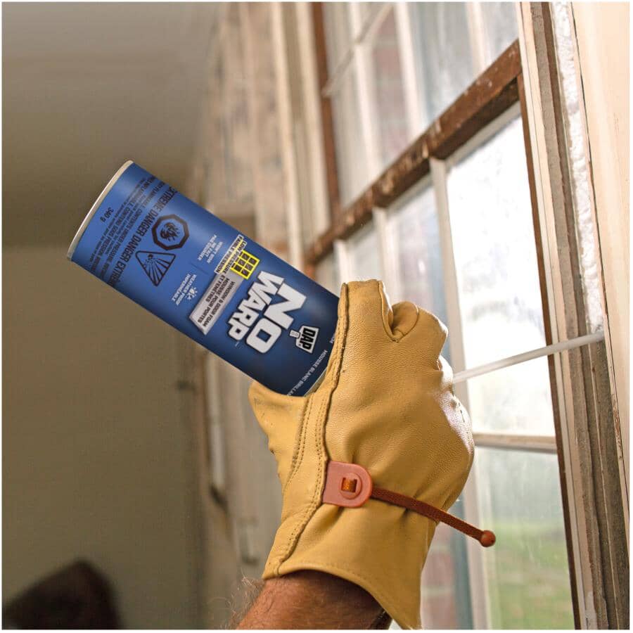 DAP No Warp Window & Door Foam Sealant | Home Hardware