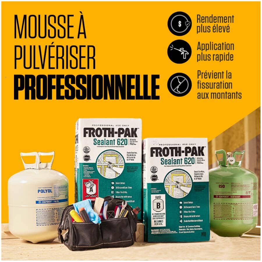 FROTH-PAK Expanding Foam Sealant Kit | Home Hardware