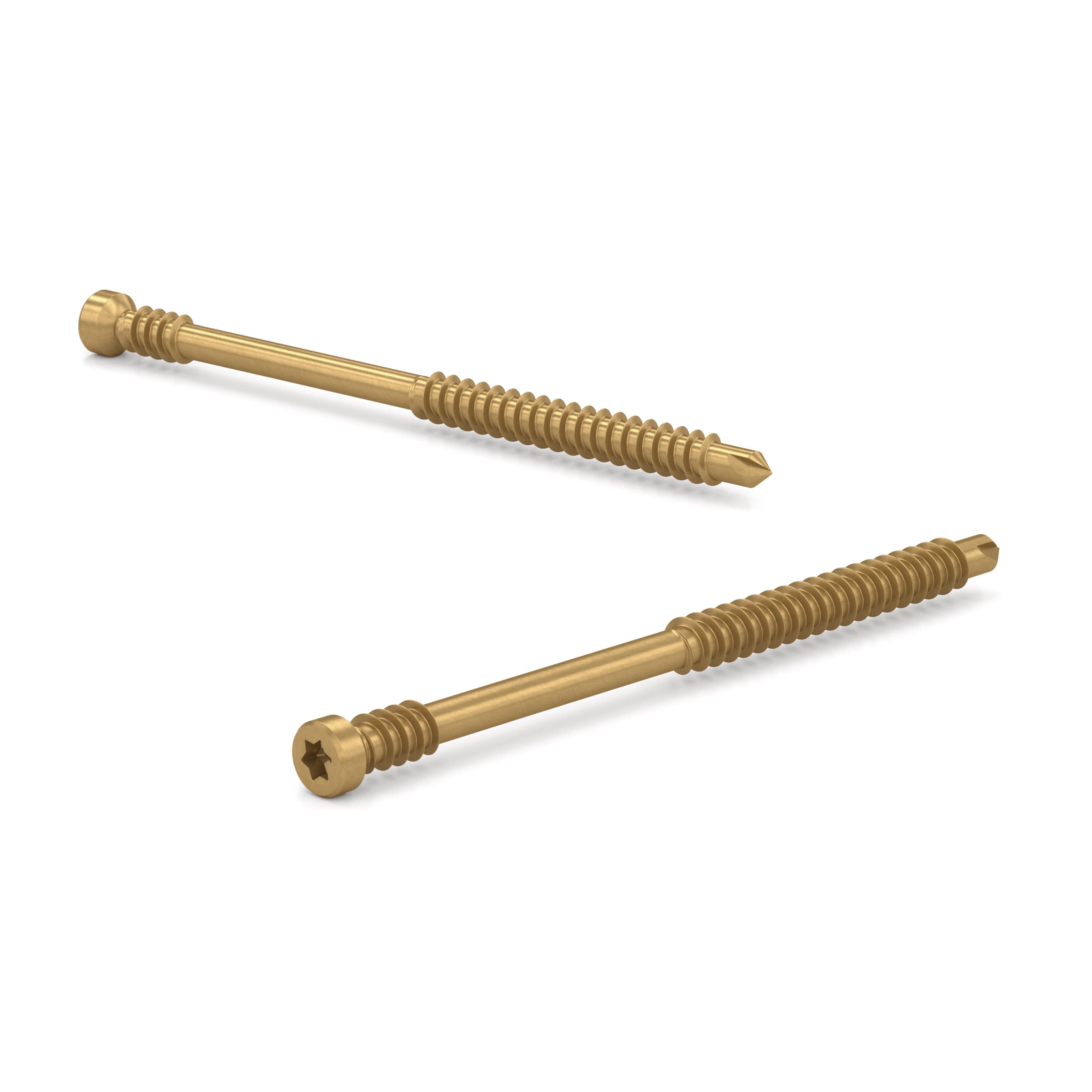 RELIABLE FASTENERS #7 x 2-1/2" FIT Trim Screws | Home Hardware
