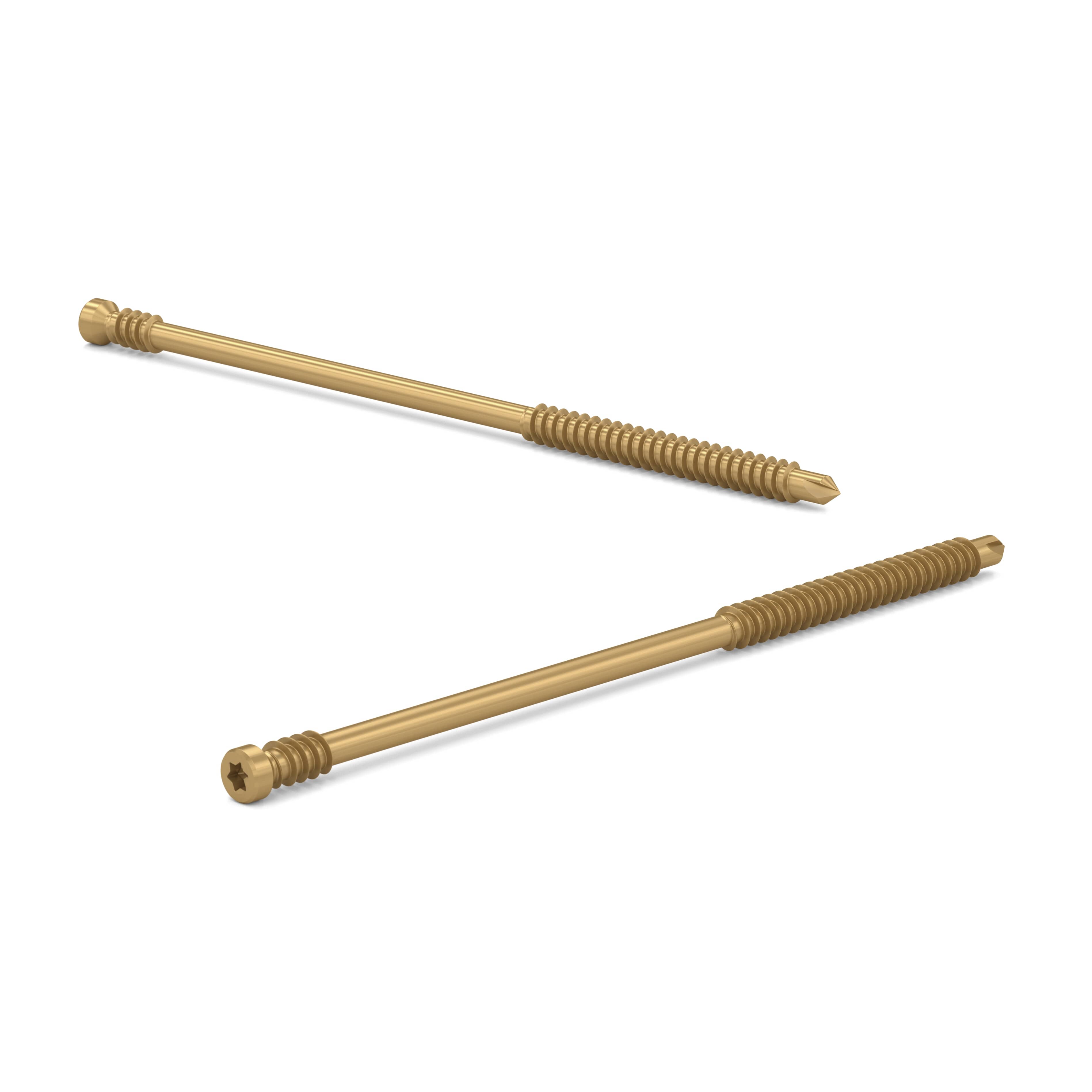 RELIABLE FASTENERS #9 x 5" FIT Trim Screws | Home Hardware