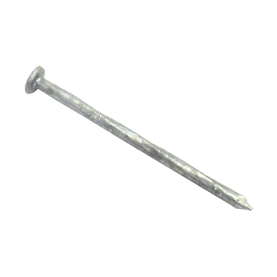 TREE ISLAND 12" Hot Galvanized Ardox Spiral Nails | Home Hardware