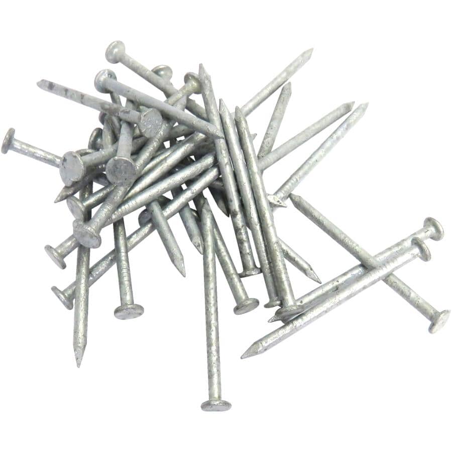 TREE ISLAND 8" Hot Galvanized Common Nails | Home Hardware