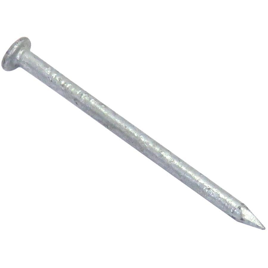 TREE ISLAND 12" Hot Galvanized Common Nails | Home Hardware