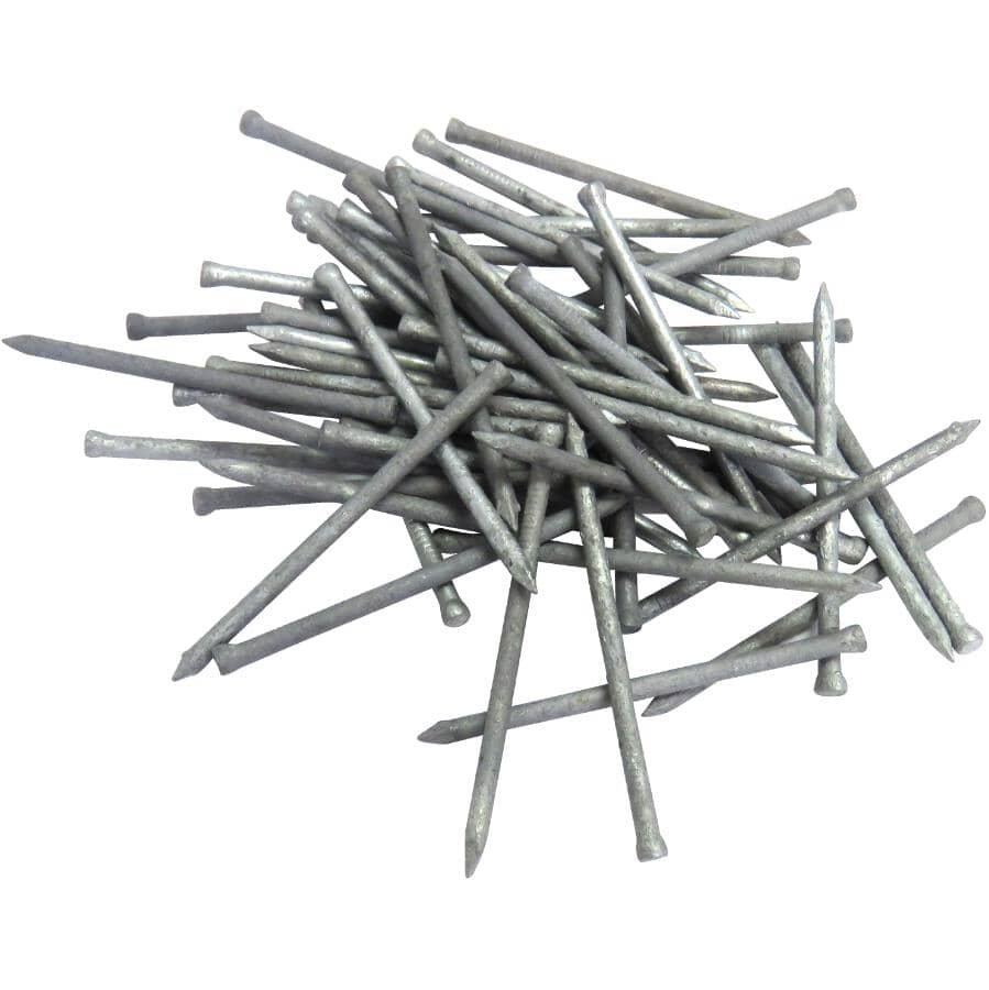 TREE ISLAND 200 Pack 2" x Hot Galvanized Finishing Nails | Home Hardware