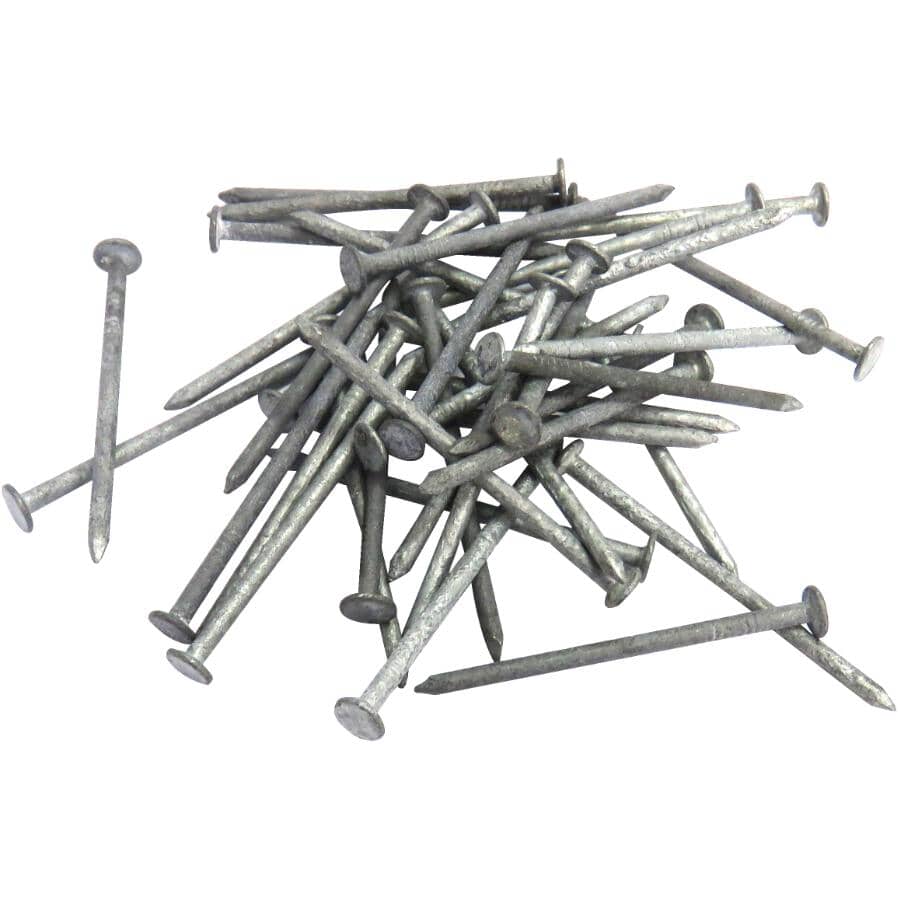TREE ISLAND 2" x 13 Ga. Hot Galvanized Box Nails | Home Hardware