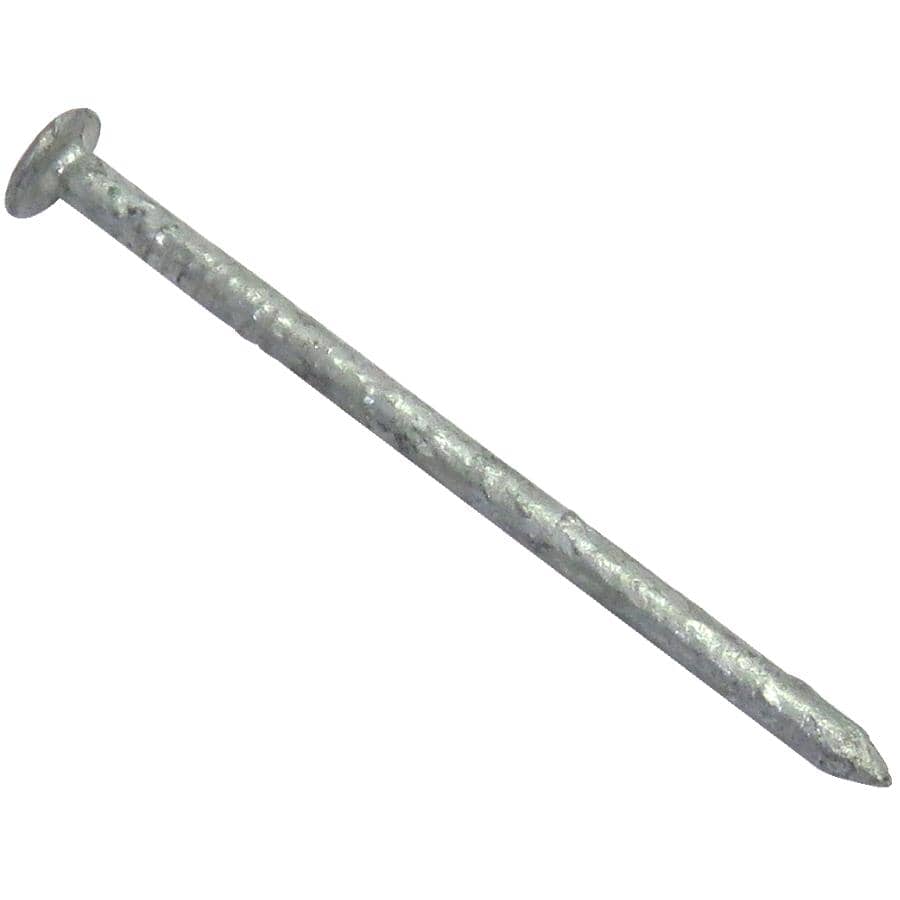 TREE ISLAND 2" x 13 Ga. Hot Galvanized Box Nails | Home Hardware