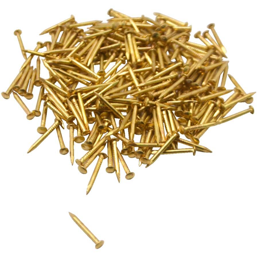 BUILDER'S HARDWARE 2 Ounce 5/8" x 16 Ga. Satin Brass Escutcheon Pins ...