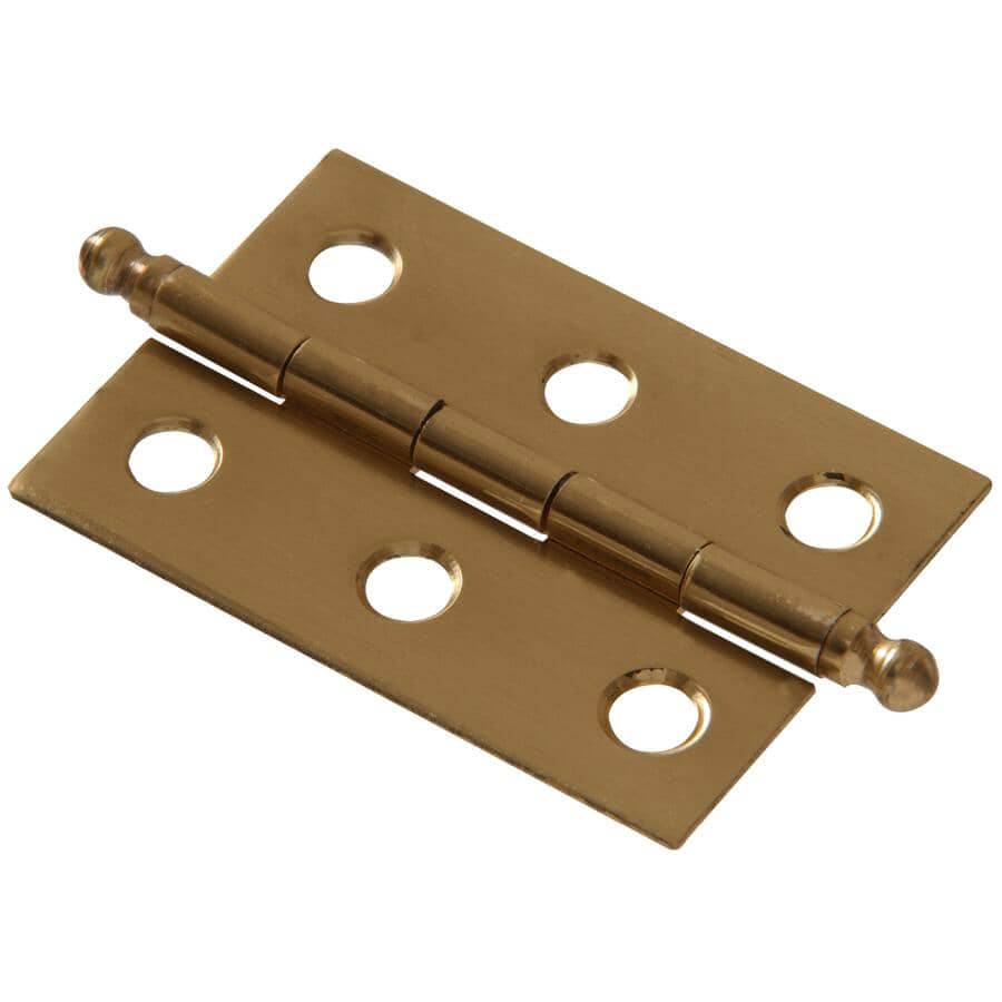 HILLMAN 2 Pack 2" x 1-3/8" Brass Ball Tip Hinges | Home Hardware