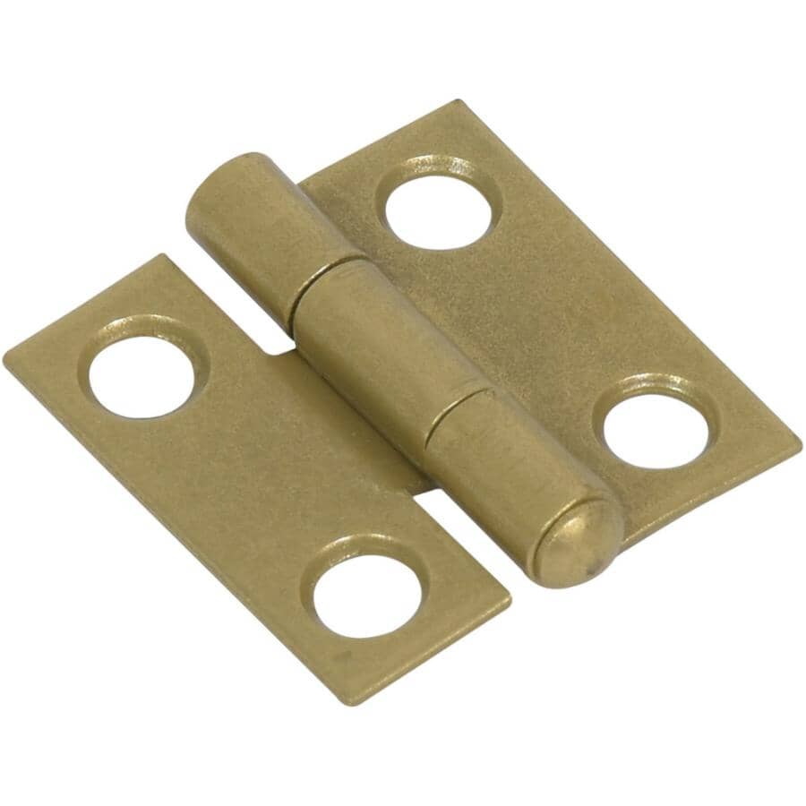 HILLMAN 1" Brass Removable Pin Narrow Hinges | Home Hardware