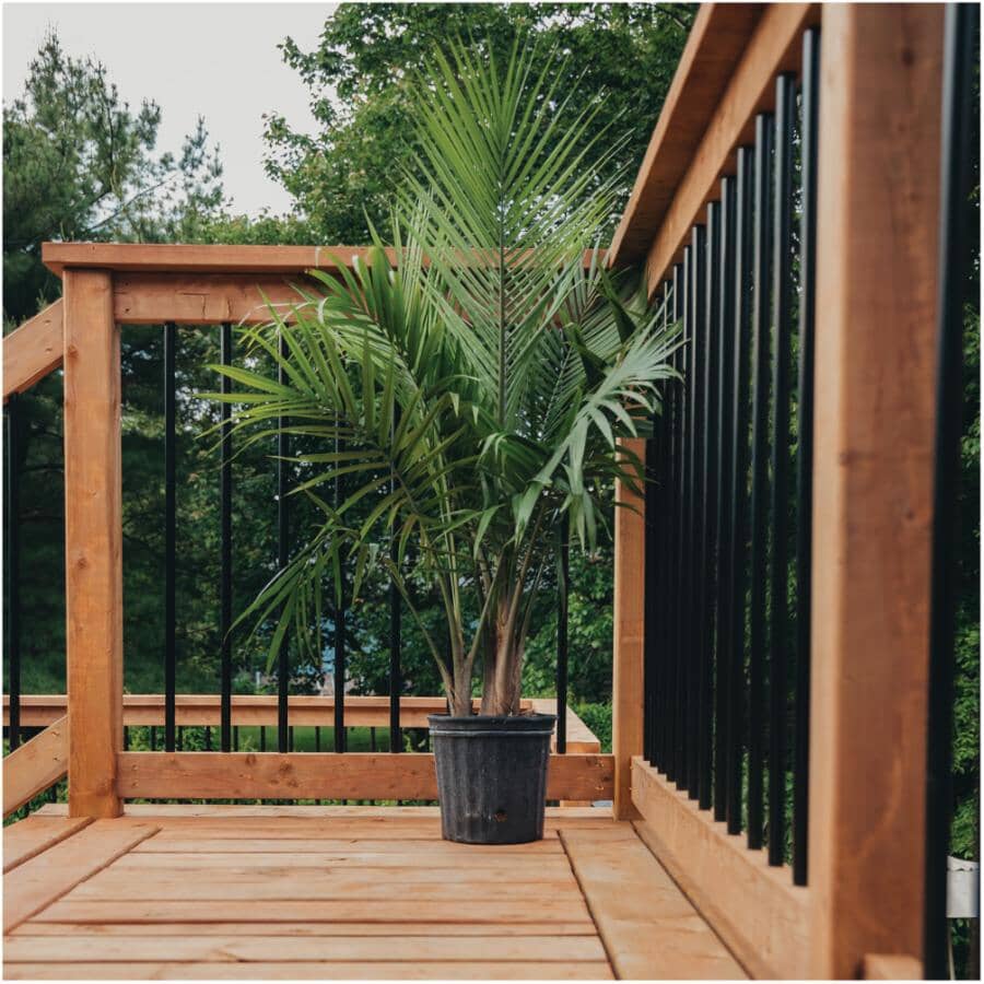 NUVO IRON 36" Round Black Steel Balusters with Connectors | Home Hardware