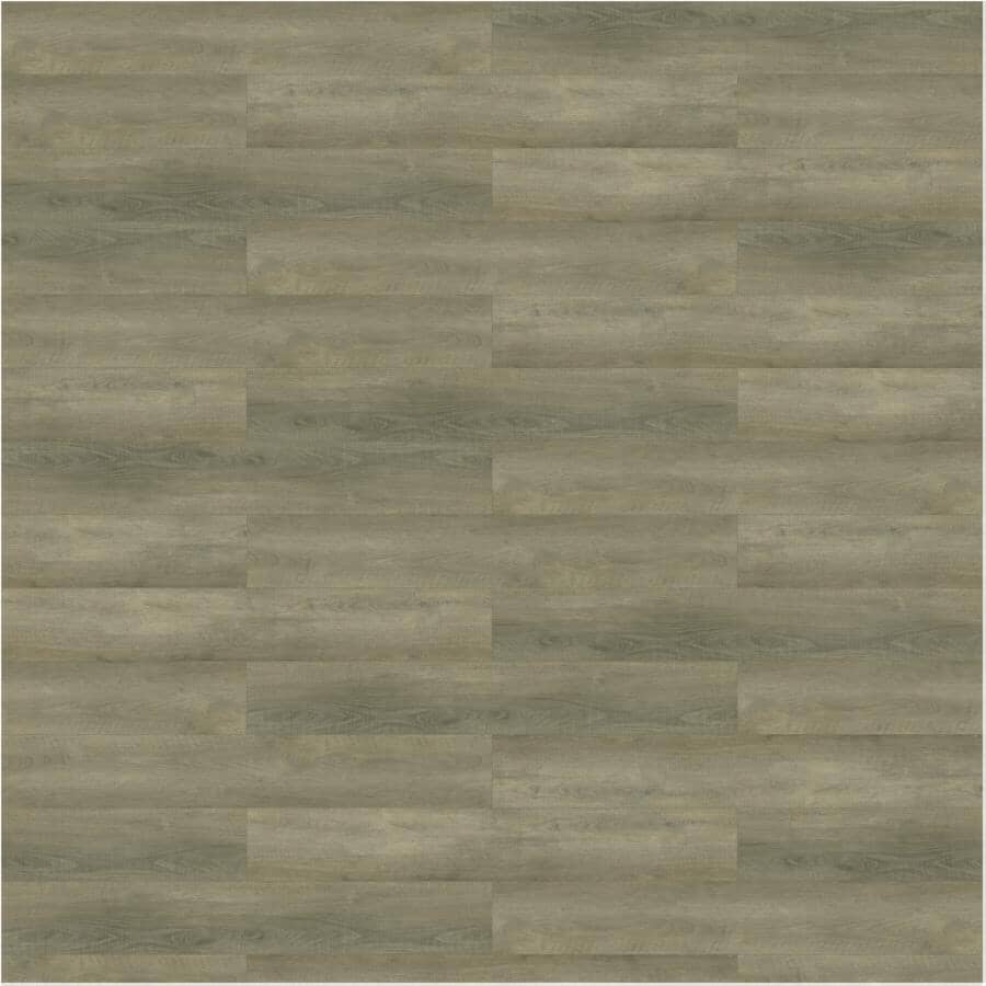 TAIGA BUILDING PRODUCTS Curate Collection 9" x 60" SPC Plank Flooring ...
