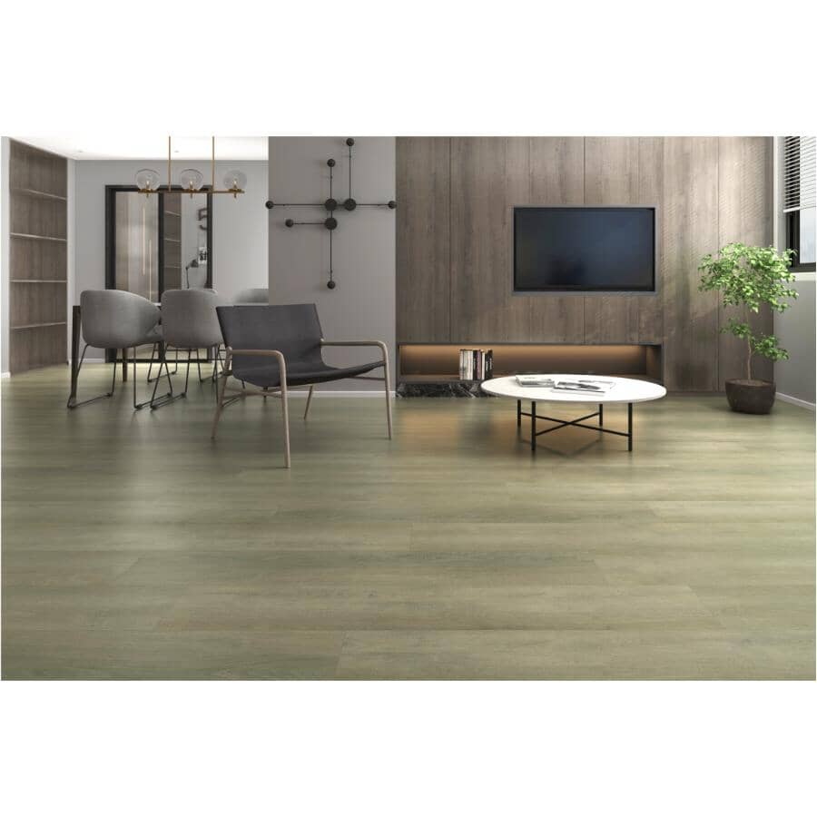 TAIGA BUILDING PRODUCTS Curate Collection 9" x 60" SPC Plank Flooring ...