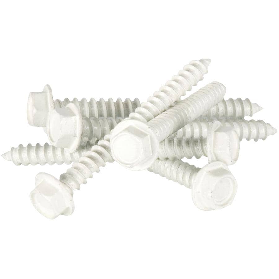 REGAL IDEAS 24 Pack 2-1/2" White Aluminum Lag Screws | Home Hardware