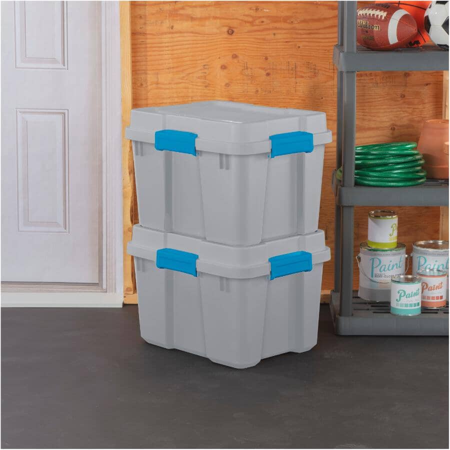 STERILITE Gasket Storage Box | Home Hardware