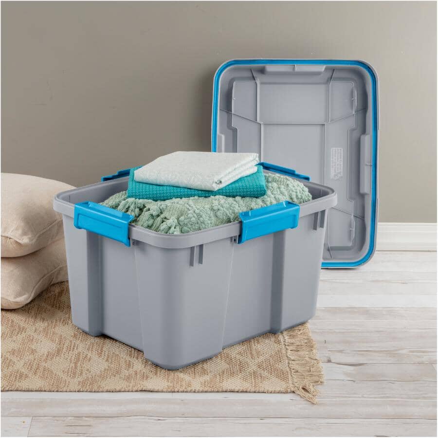 STERILITE Gasket Storage Box | Home Hardware
